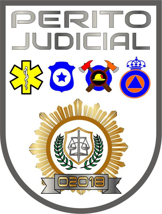 PERITO JUDICIAL COLEGIADO 2018